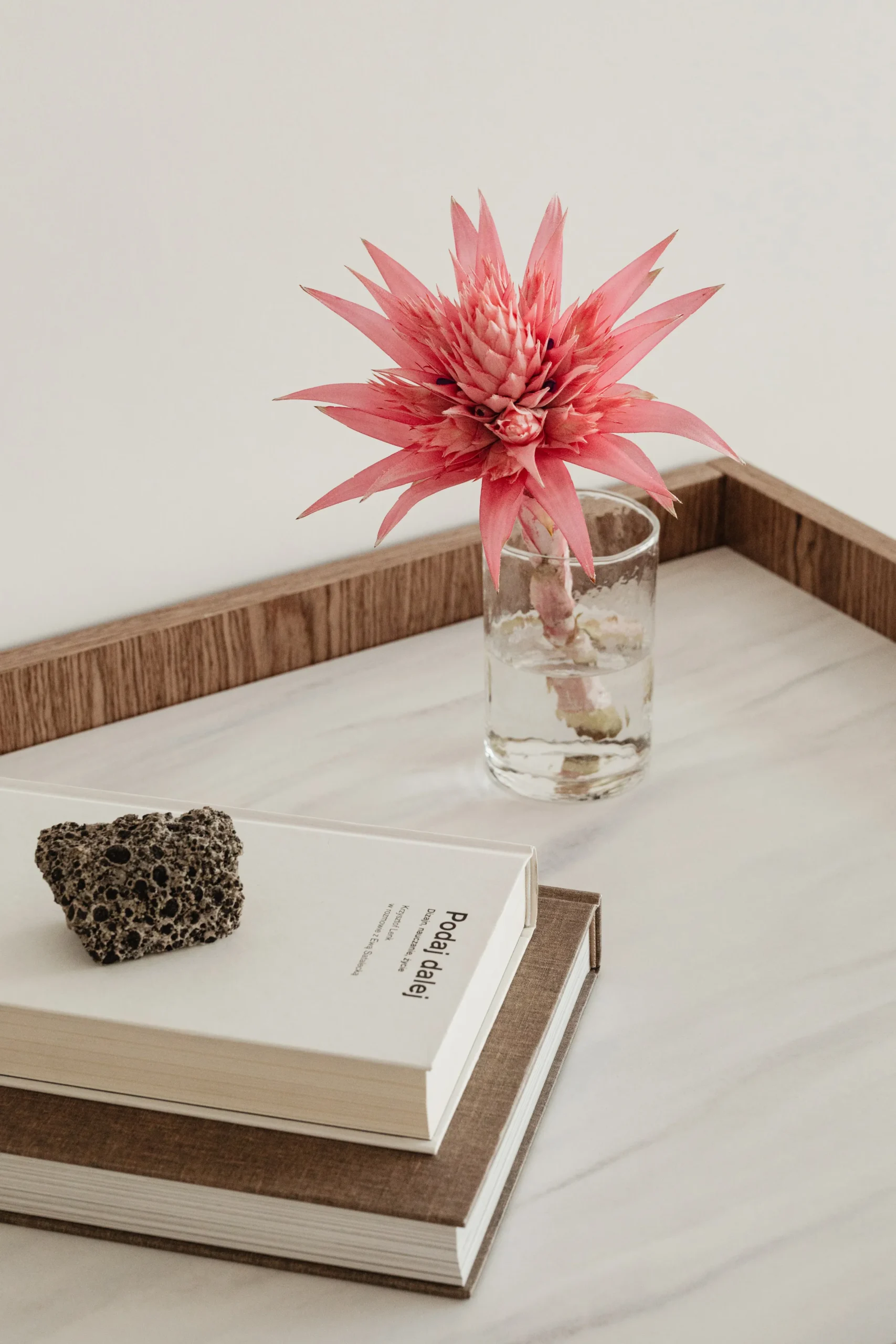 Glow Up Challenge - ASHLEY JADE LTD